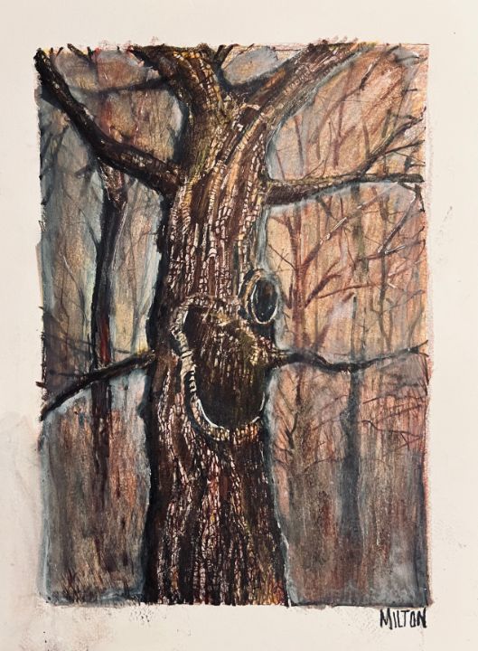 The Witness Tree - Michael Anthony Milton Gallery - Drawings ...