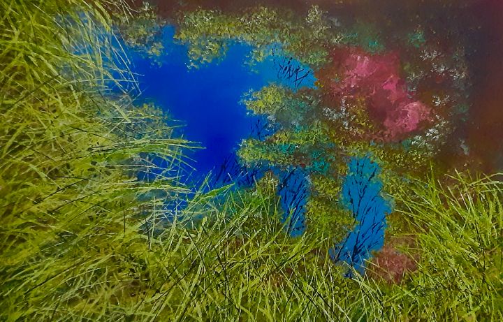 Swamp Reflections 2 - Colleen Baxter, Artist - Paintings & Prints ...