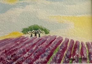 Colleen Baxter, Artist - Paintings & Prints