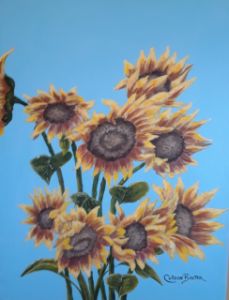 Colleen Baxter, Artist - Paintings & Prints