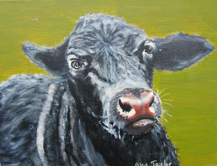 Farm Animals: "BK" the sweet Bull - Alex's Gallery - Paintings & Prints ...