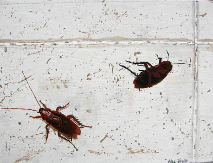 Insects: Wanted, Dead or Alive - Alex's Gallery - Paintings & Prints ...