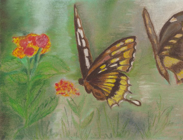 Коричневая бабочка - Dokuchaeva Olga - Paintings & Prints, Animals, Birds, & Fish, Bugs ...