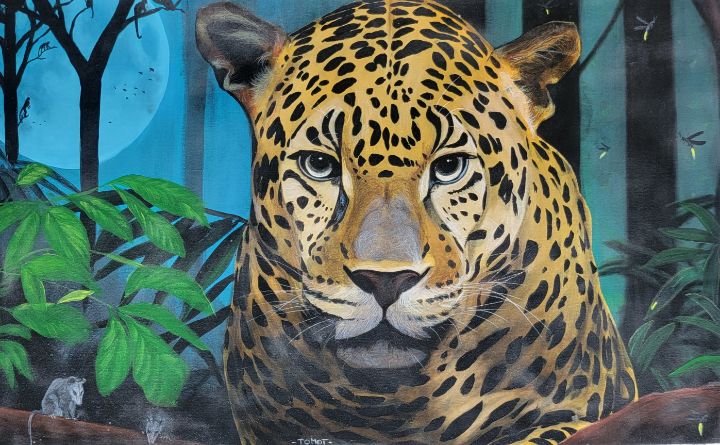 Night time - TT - Paintings & Prints, Animals, Birds, & Fish, Wild Cats ...