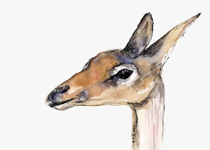 What's up? - Art Aroma by Mehak Mittal - Paintings & Prints, Animals ...