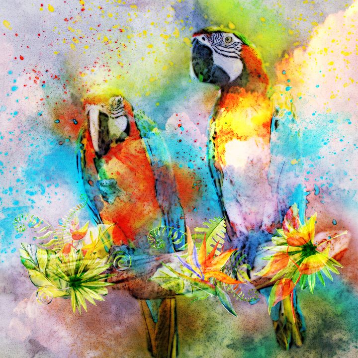 Watercolor Parrots - DigiScrapCafe - Digital Art & AI, Animals, Birds ...