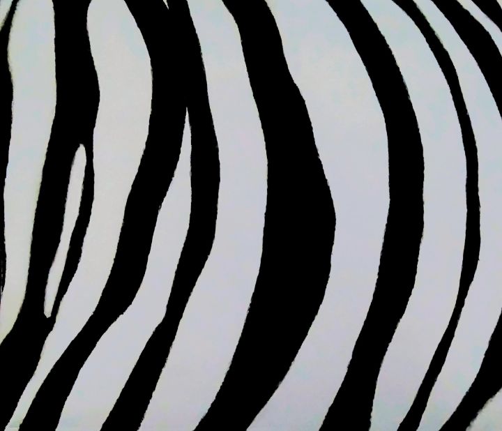 Zebra - Robert Martin - Drawings & Illustration, Animals, Birds, & Fish ...