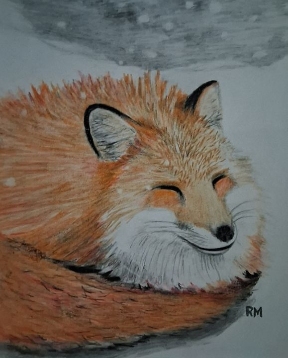 Winter Red Fox - Robert Martin - Drawings & Illustration, Animals ...