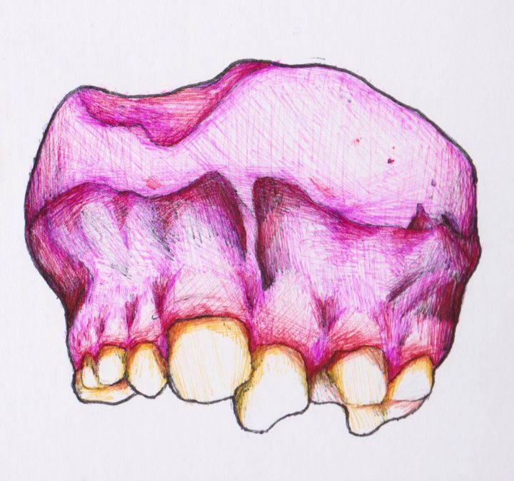Anatomical teeth illustration - ink teeth - Drawings & Illustration ...