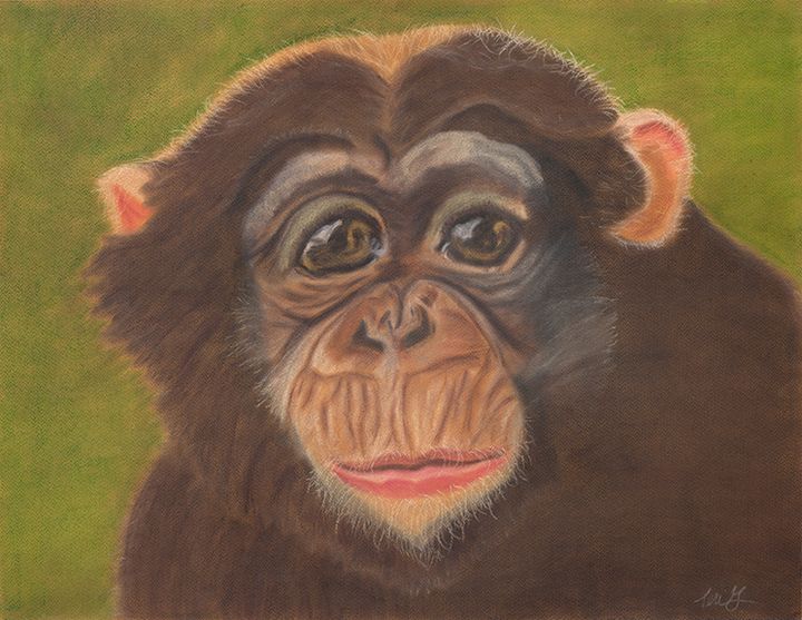 Miss Monkey - Teri G - Paintings & Prints, Animals, Birds, & Fish ...