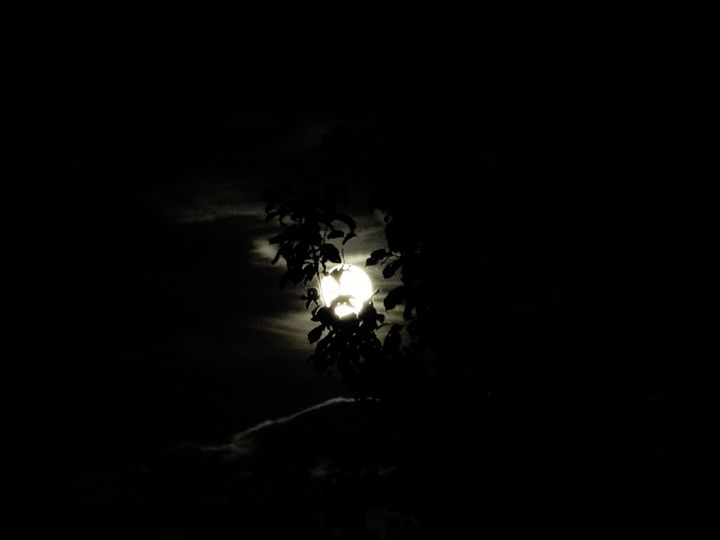 moony night - unknownApe - Photography, Landscapes & Nature, Skyscapes ...