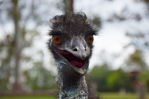 Madeline Hertz - Photography