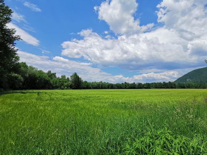 Beautiful sunny day - Ines - Photography, Landscapes & Nature, Other ...